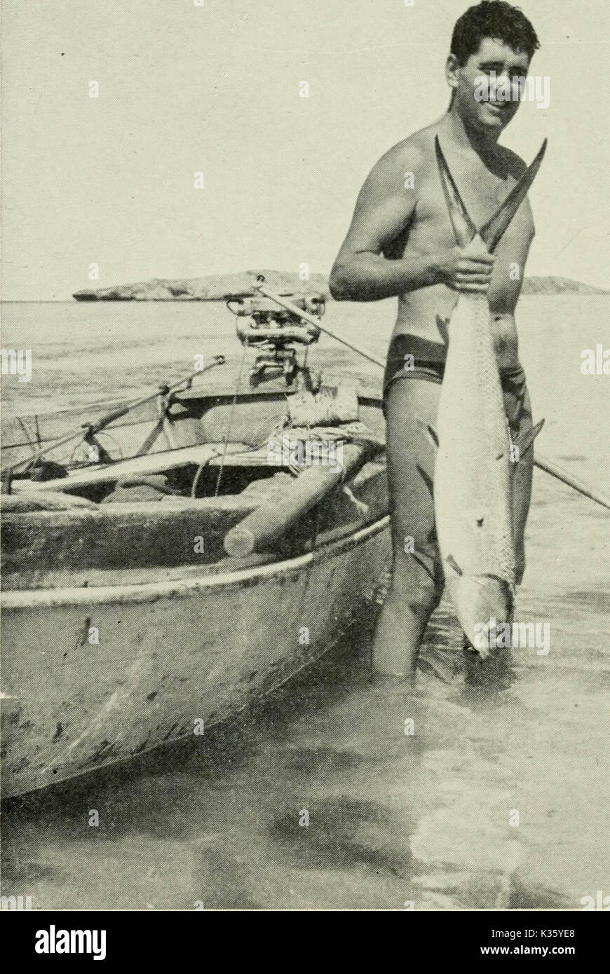 "Dahlak: with the Italian National Underwater Expedition in the Red Sea ...