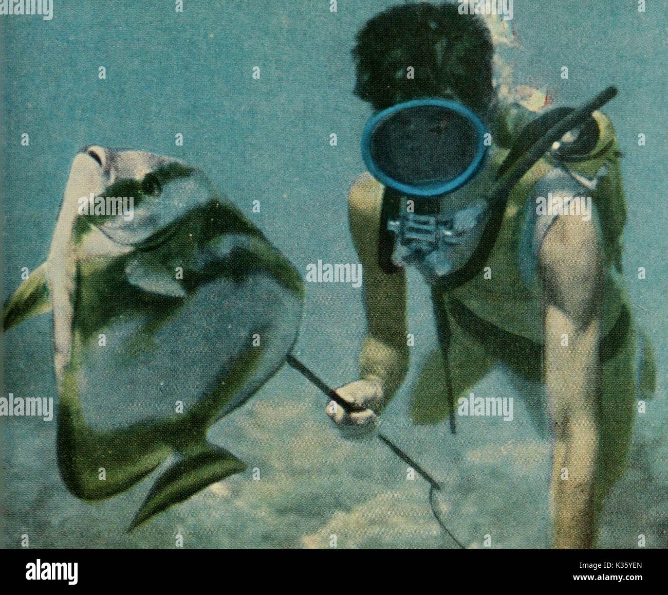 "Dahlak: with the Italian National Underwater Expedition in the Red Sea ...