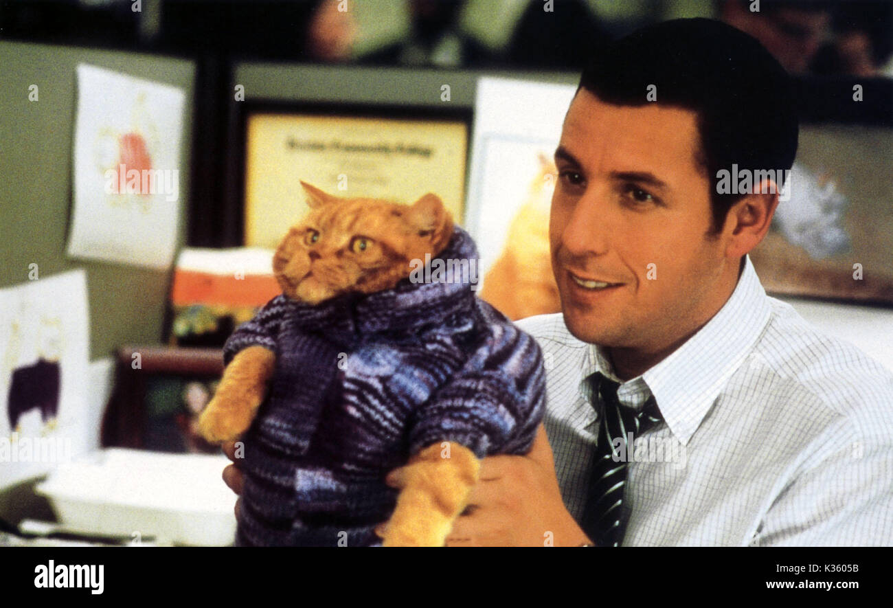 ANGER MANAGEMENT ADAM SANDLER Date: 2003 Stock Photo - Alamy