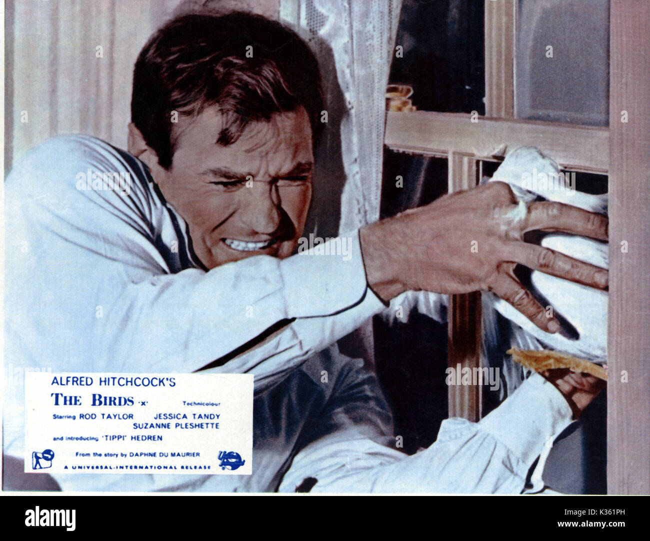 Rod taylor hi-res stock photography and images - Alamy