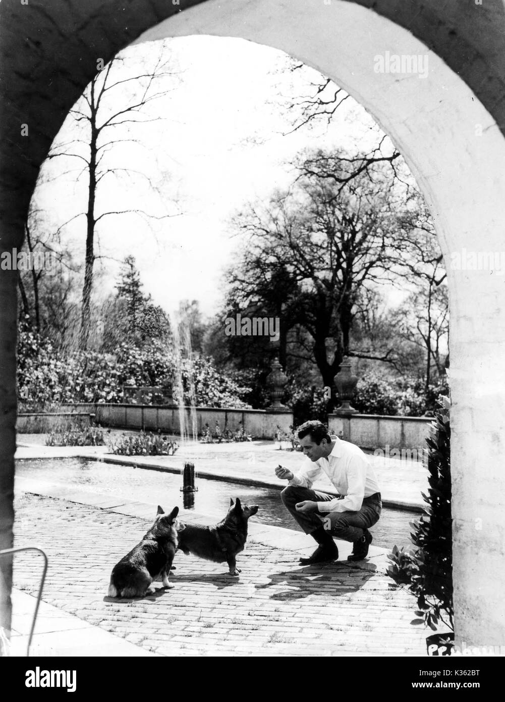 Film home Black and White Stock Photos & Images - Alamy