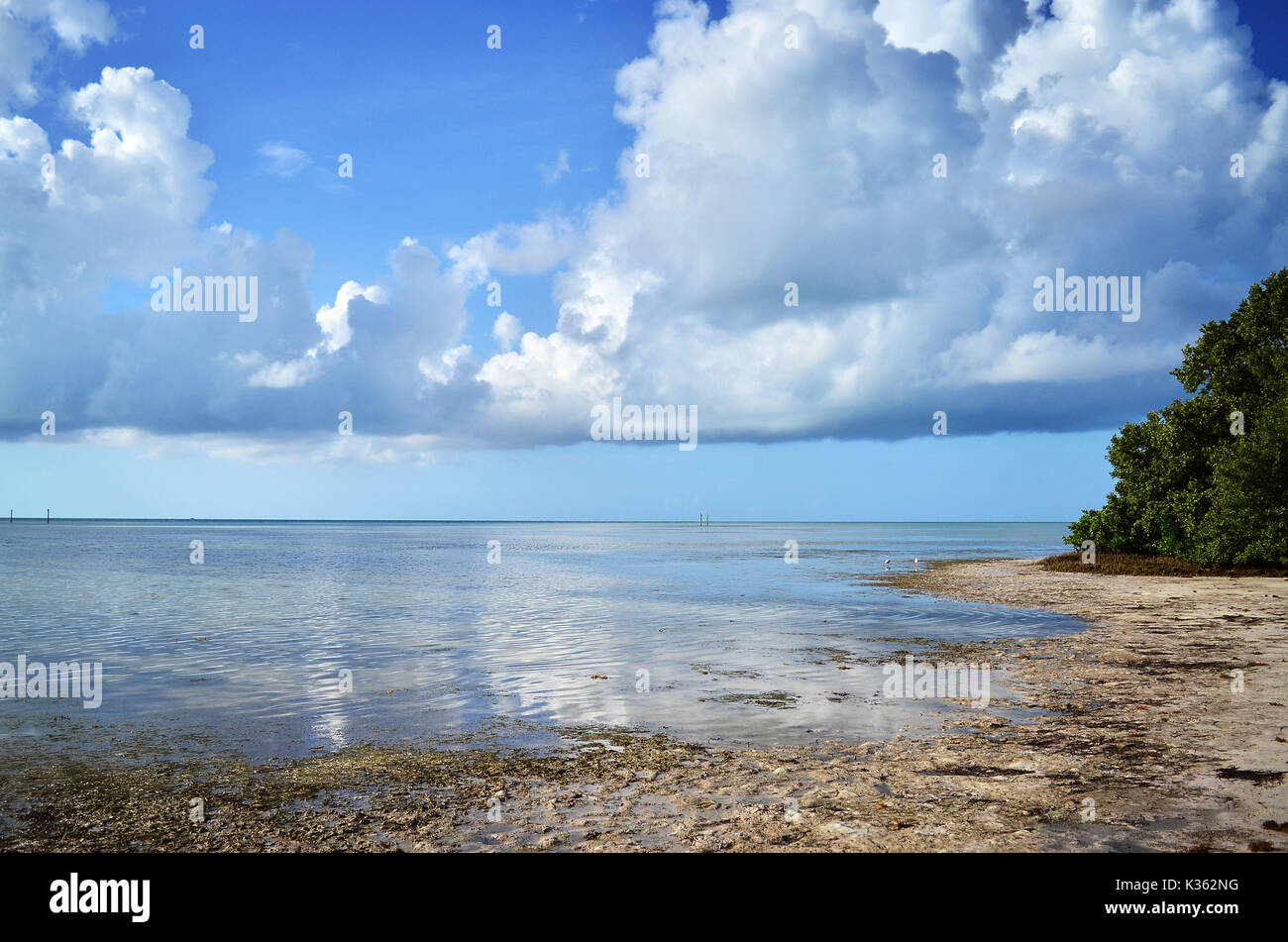 Sunshine reflection off water hi-res stock photography and images - Alamy