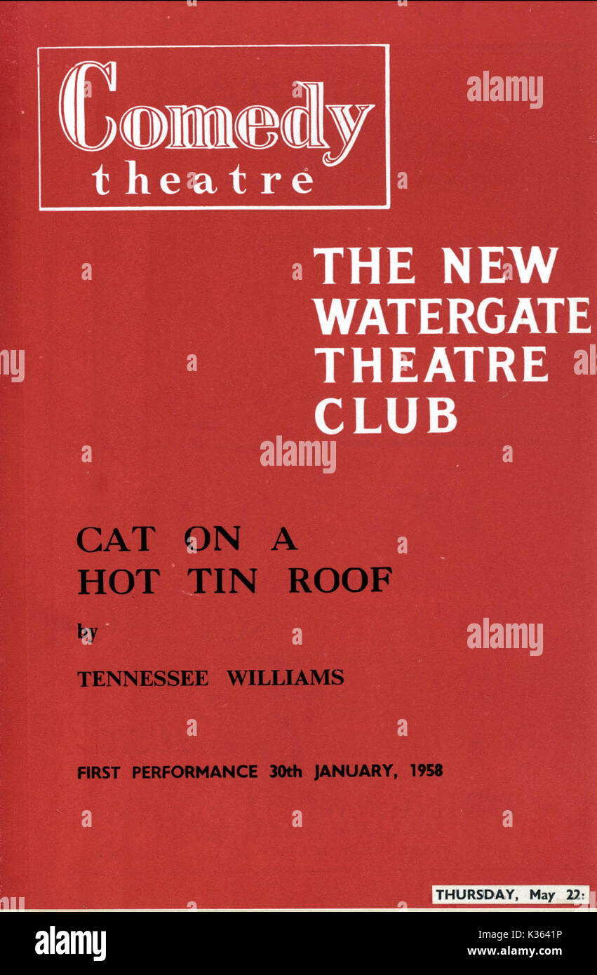 CAT ON A HOT TIN ROOF Stock Photo - Alamy