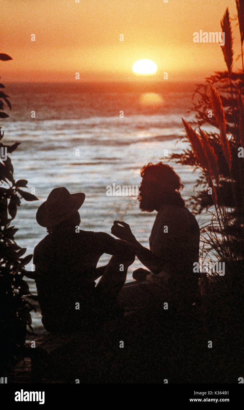 CHEECH AND CHONG'S NICE DREAMS [US 1981] CHEECH MARIN, TOMMY CHONG Date ...