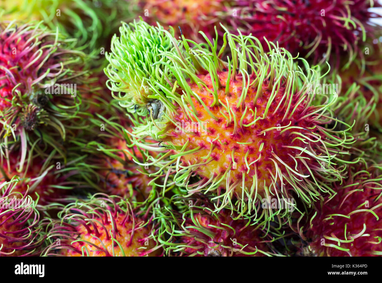 Rambutan fruit hi-res stock photography and images - Alamy