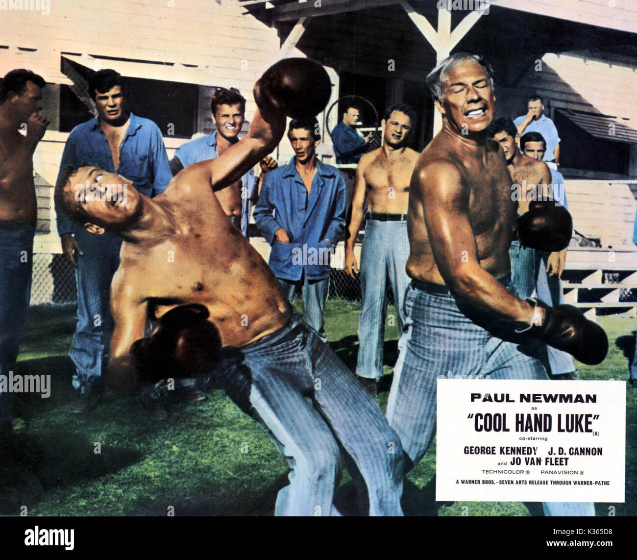 COOL HAND LUKE PAUL NEWMAN, ARTHUR KENNEDY Date: 1967 Stock Photo - Alamy