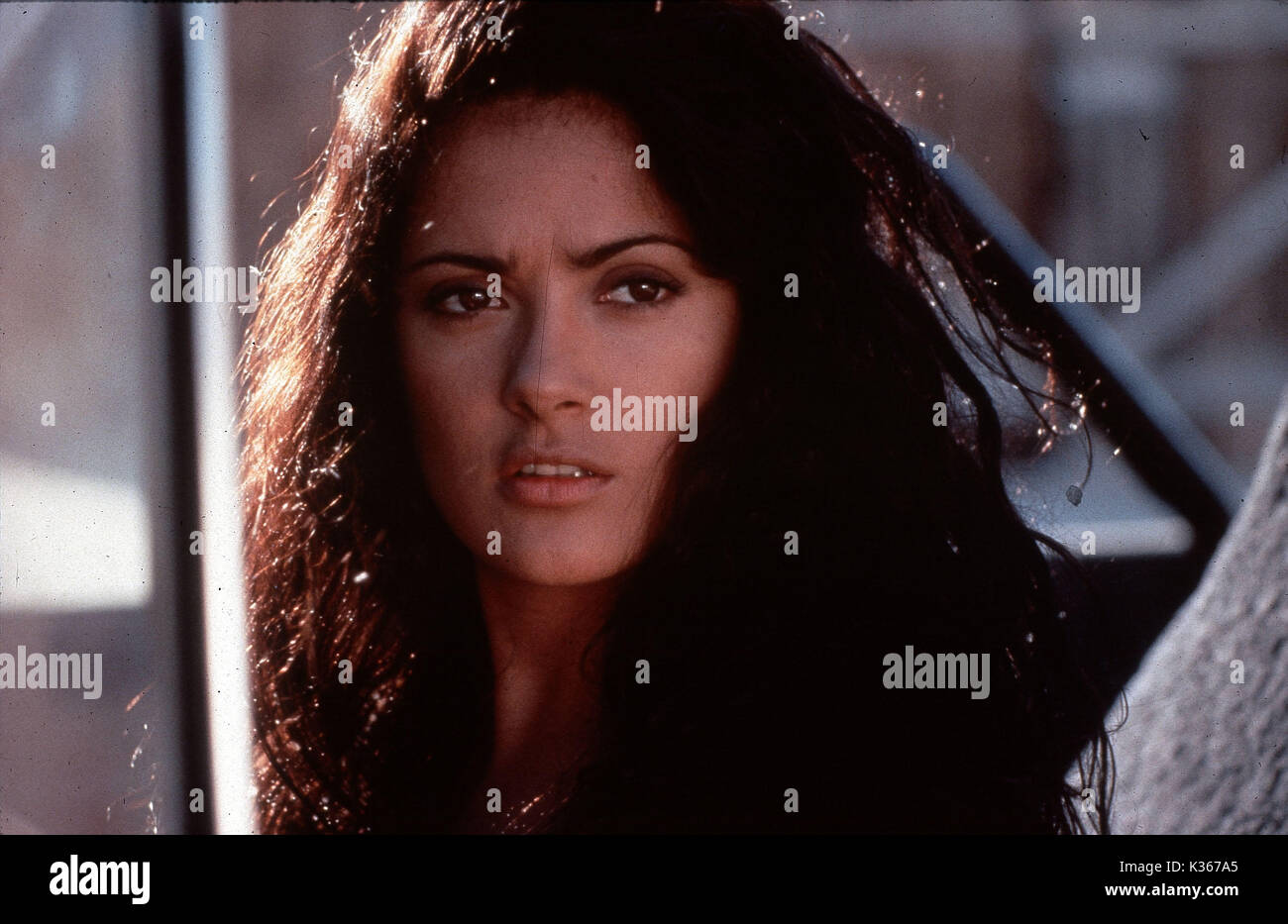 Salma hayek desperado hi-res stock photography and images - Alamy