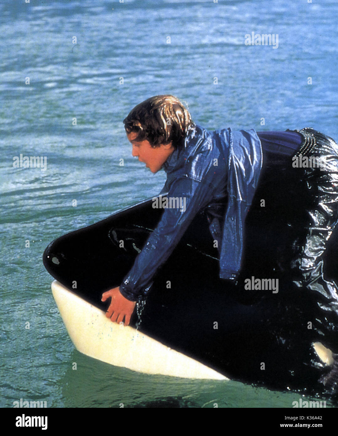Free willy hi-res stock photography and images - Alamy