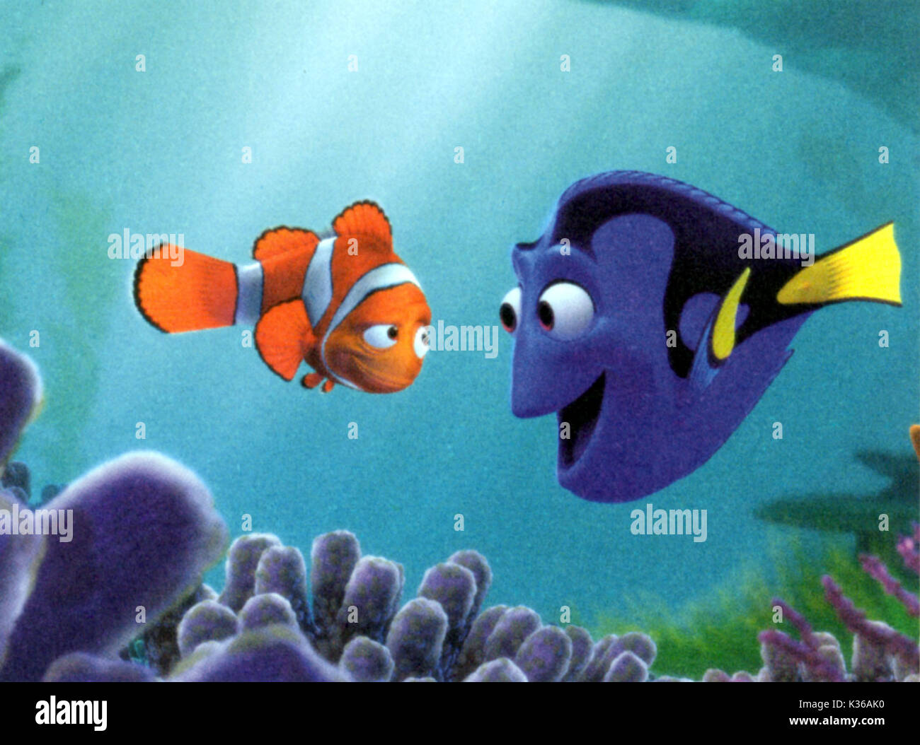 Finding Nemo Dory Do Ya