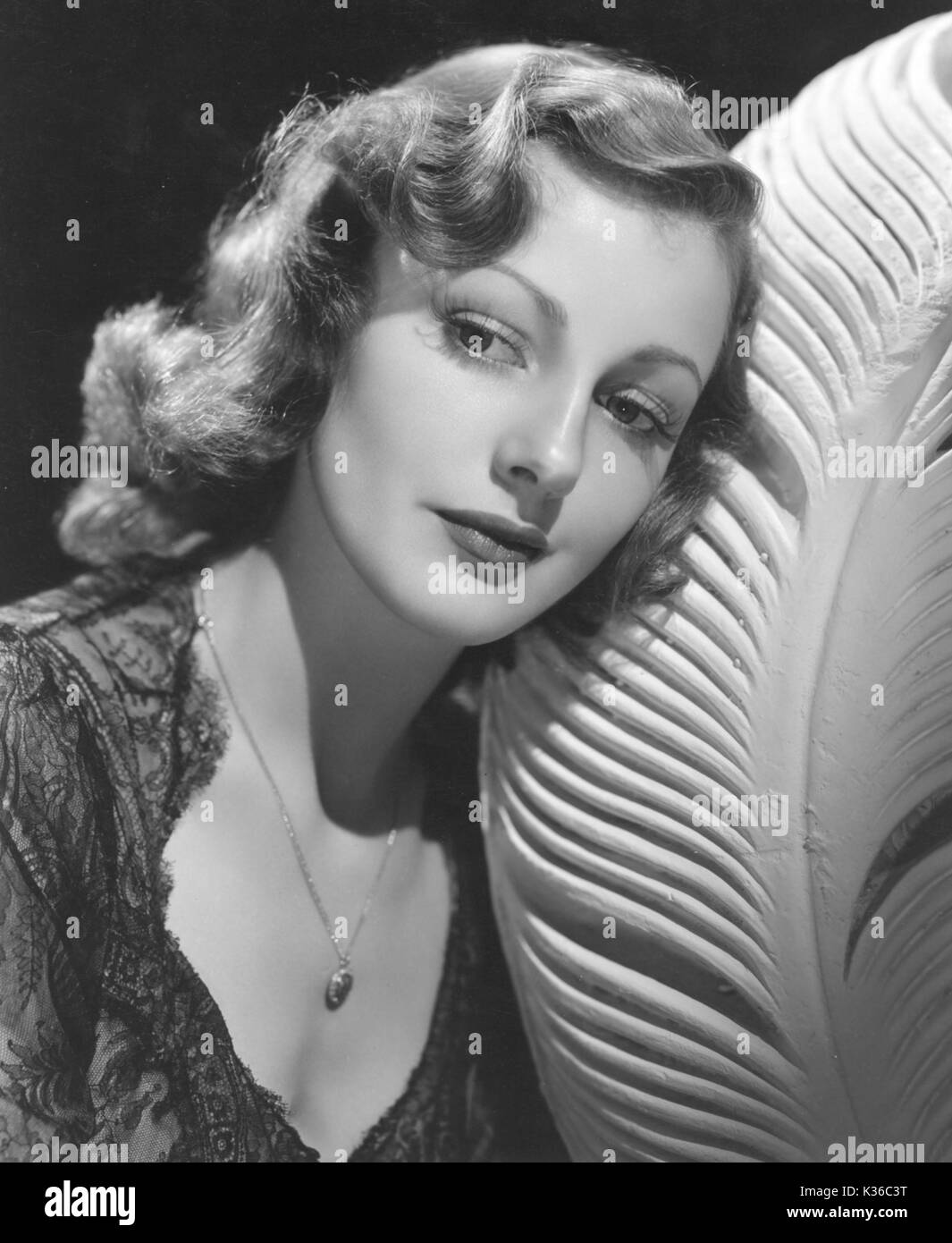 Virginia grey hi-res stock photography and images - Alamy