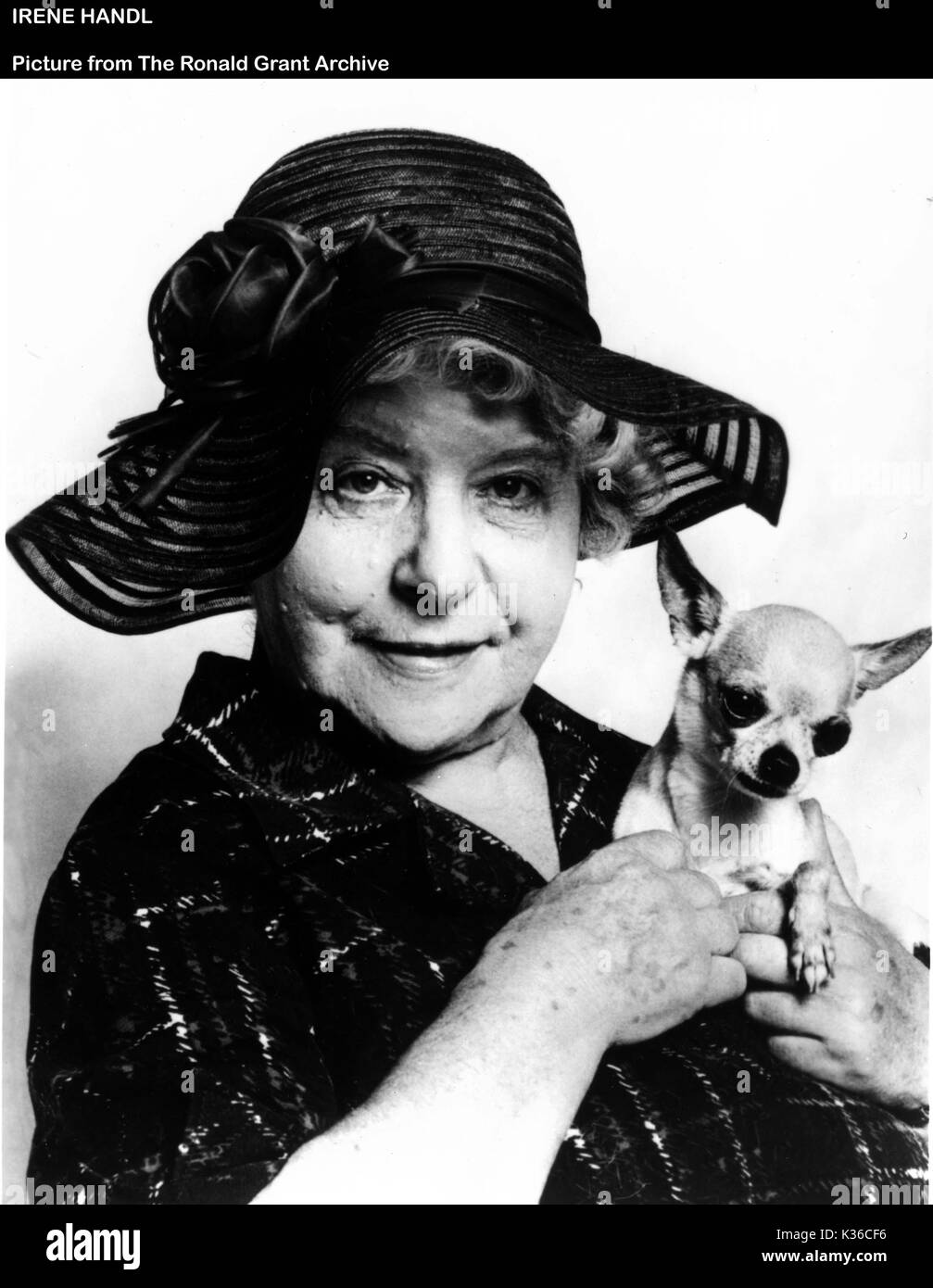 Handl hi-res stock photography and images - Alamy