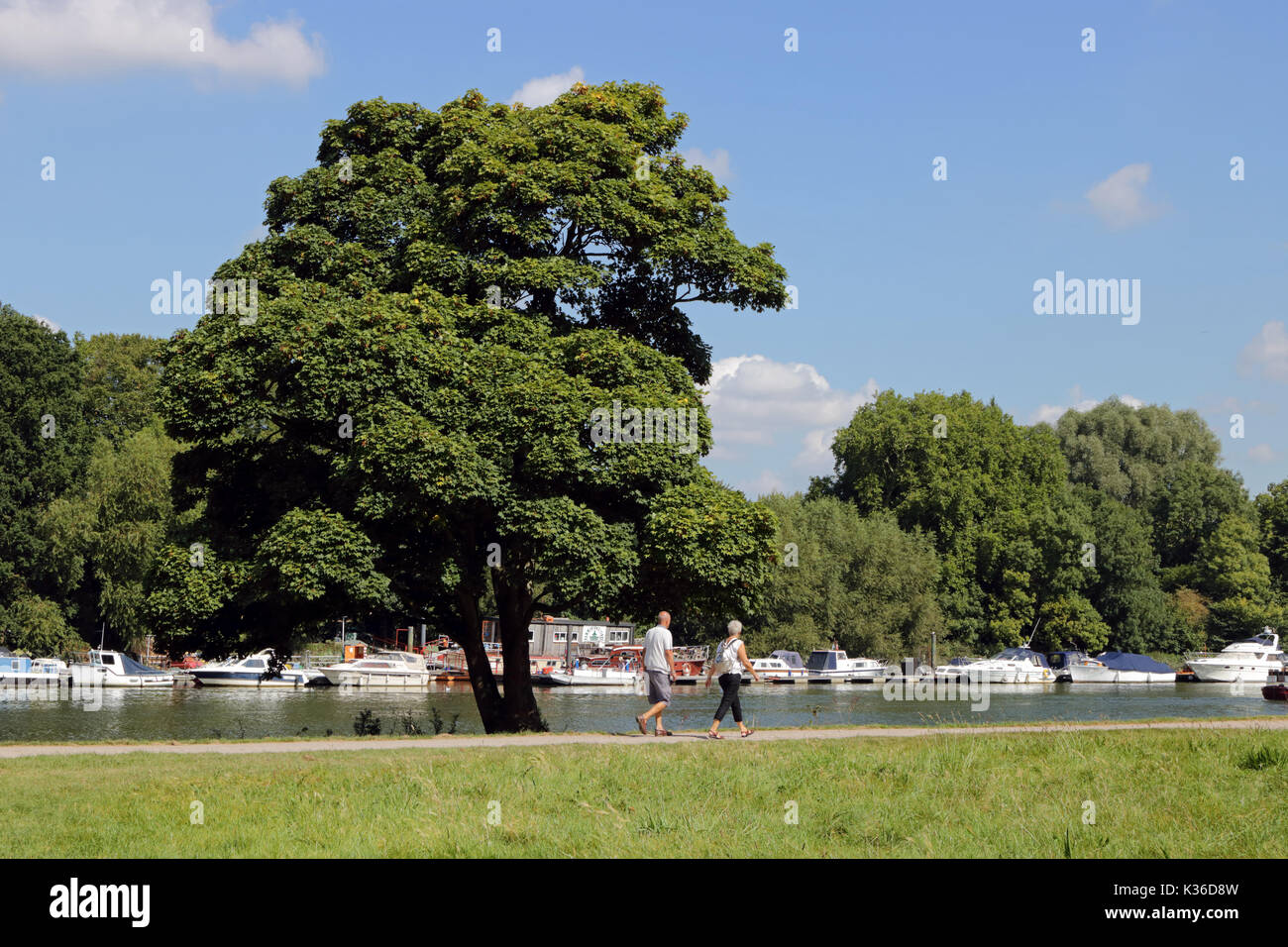 Thames richmond river walk hi-res stock photography and images - Alamy