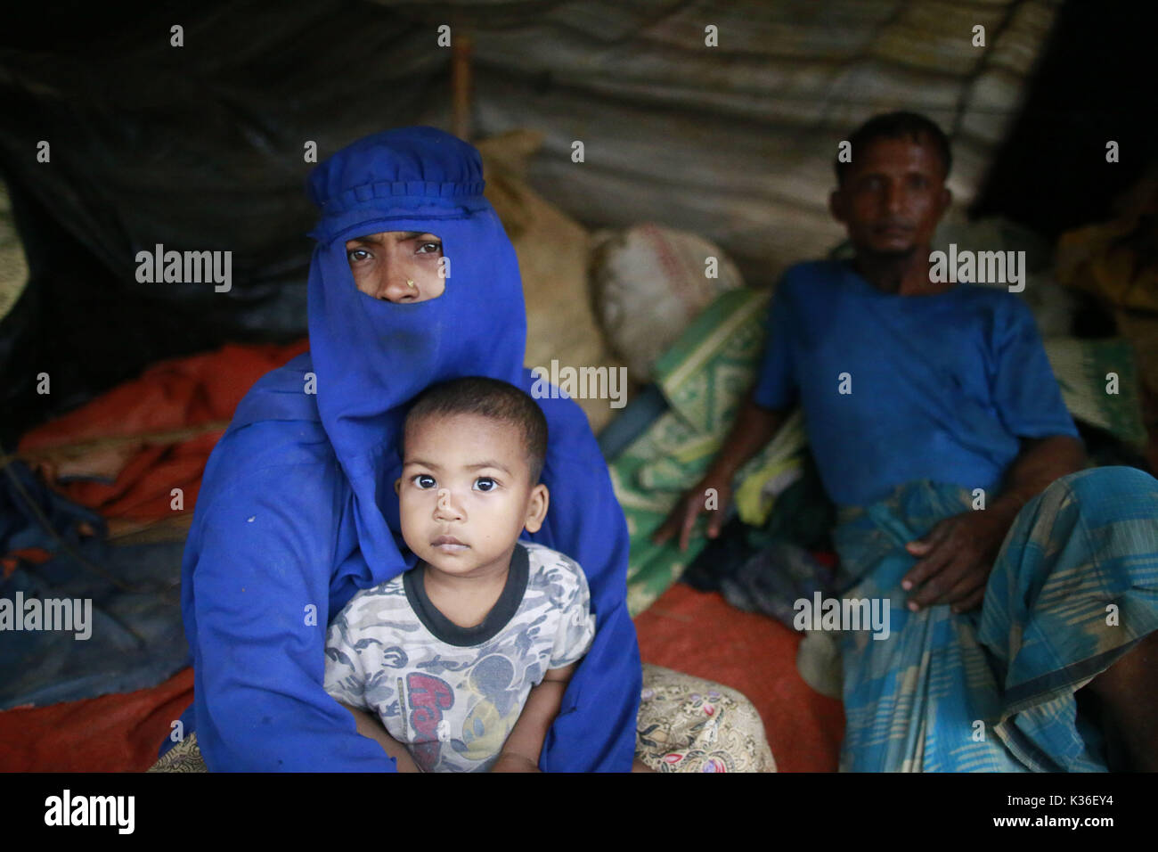 Kutu hi-res stock photography and images - Alamy