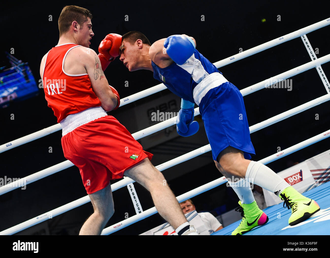 Irish Boxer High Resolution Stock Photography and Images - Alamy