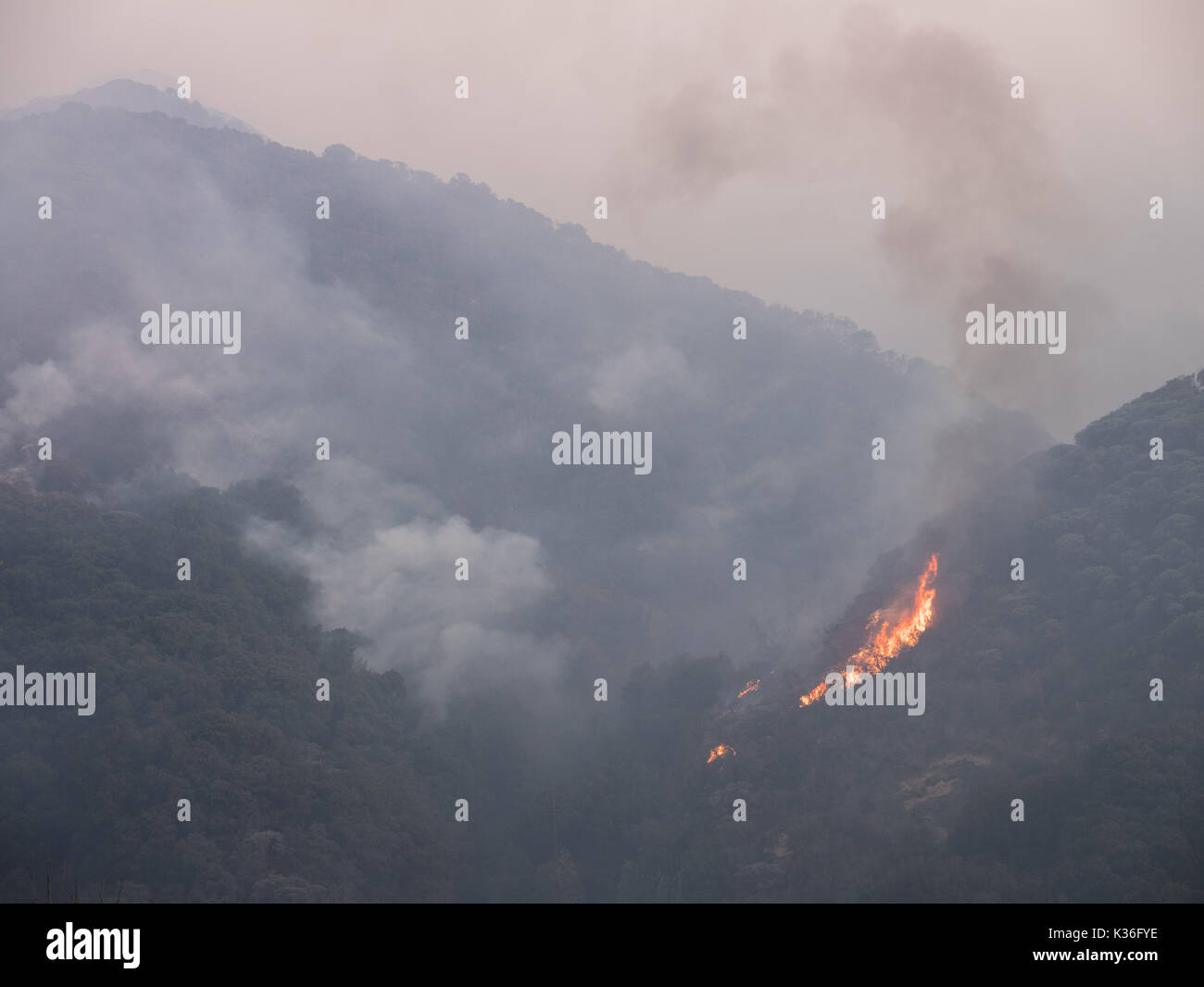 Mandatory evacuation orders hi-res stock photography and images - Alamy