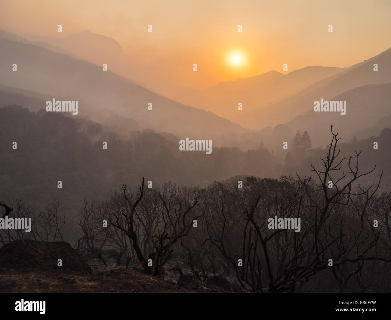 Flamma High Resolution Stock Photography and Images - Alamy