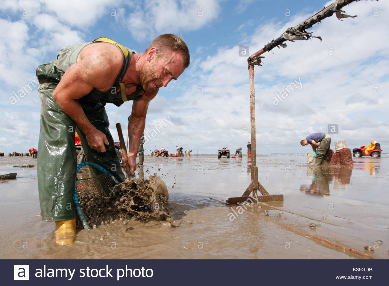 Cockles Wales Stock Photos & Cockles Wales Stock Images - Alamy