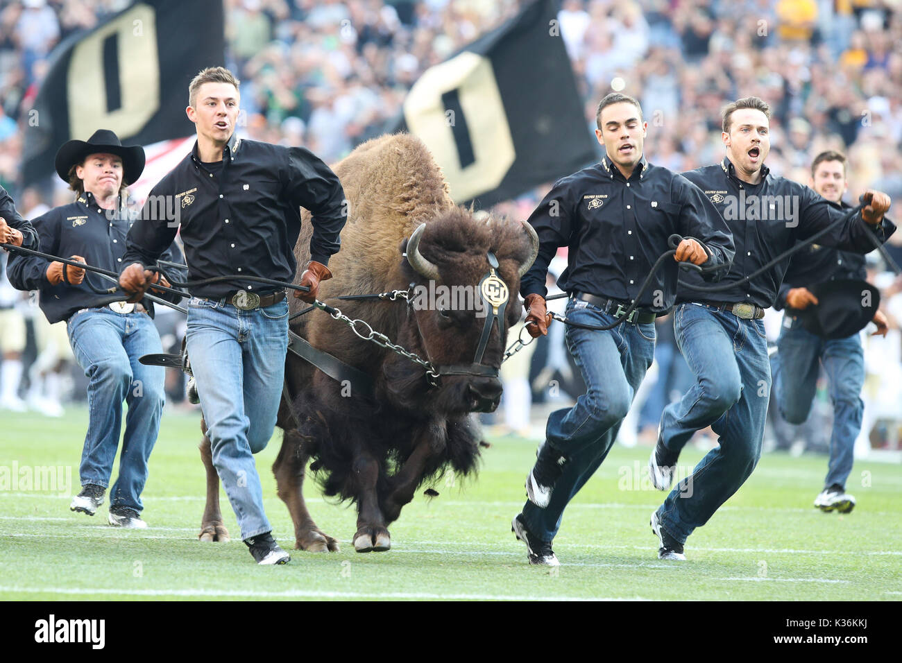 2017 ralphie hi-res stock photography and images - Alamy