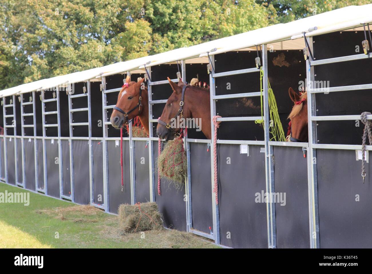 Orsett show hi-res stock photography and images - Alamy