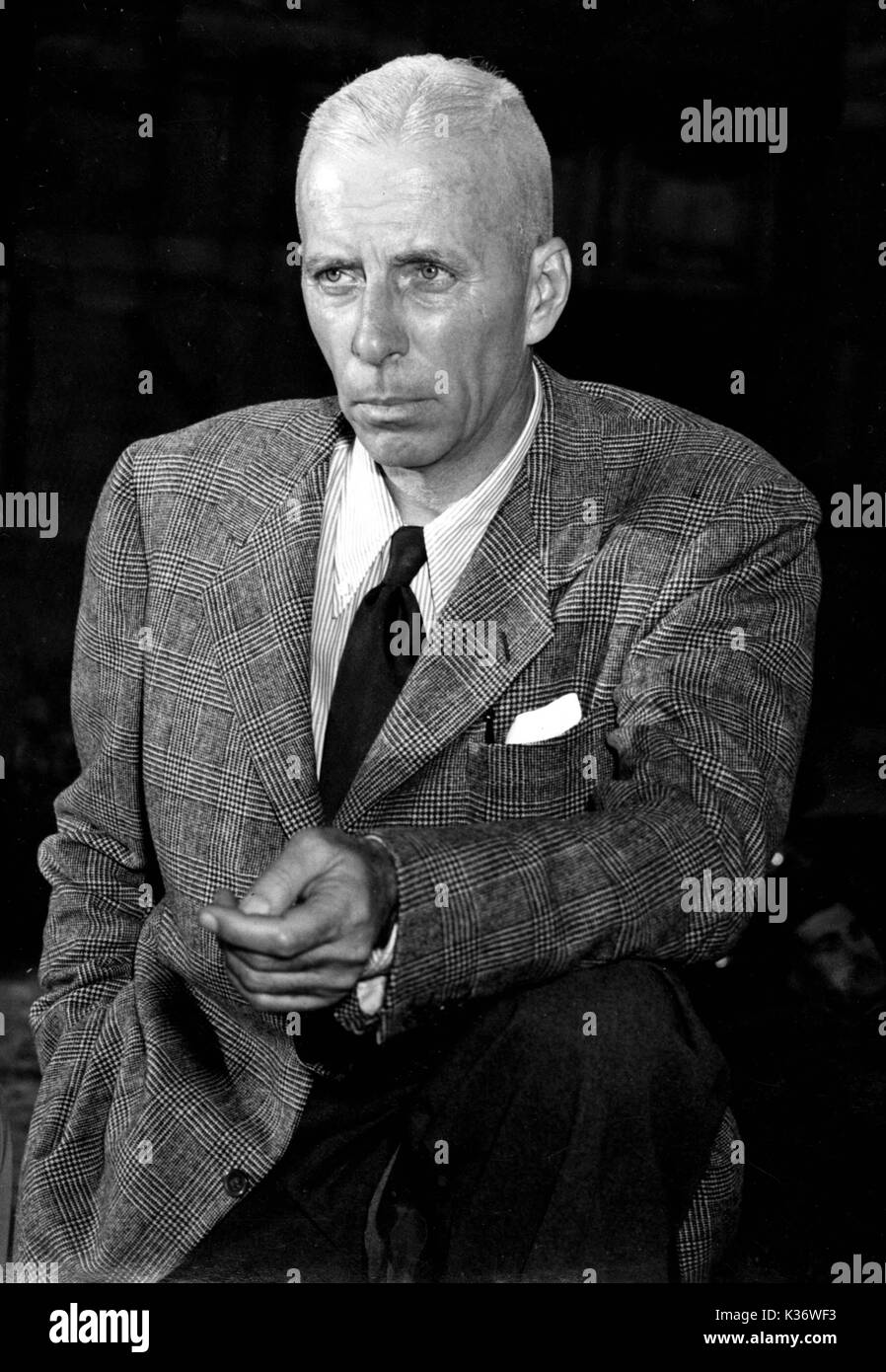 Howard hawks hi-res stock photography and images - Alamy