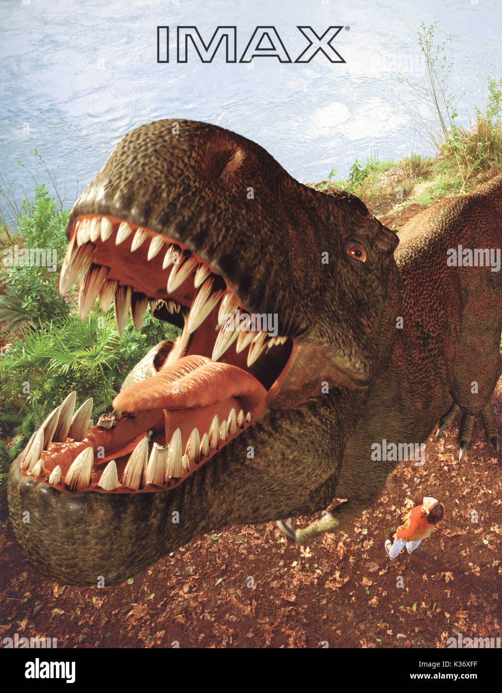 Rex image hi-res stock photography and images - Alamy