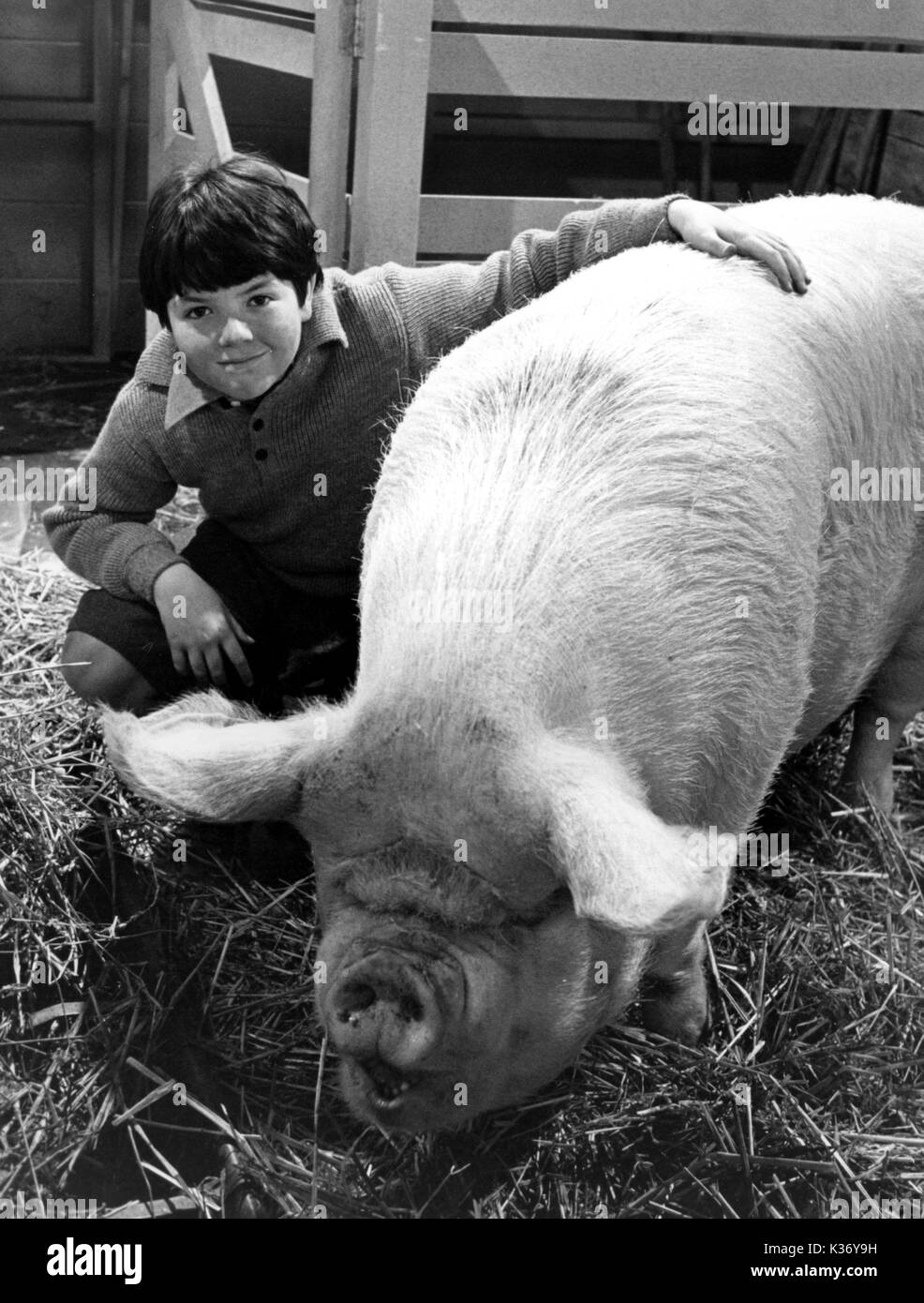 JUST WILLIAM ADRIAN DANNATT AND EGLANTINE A LWT PRODUCTION Stock Photo ...