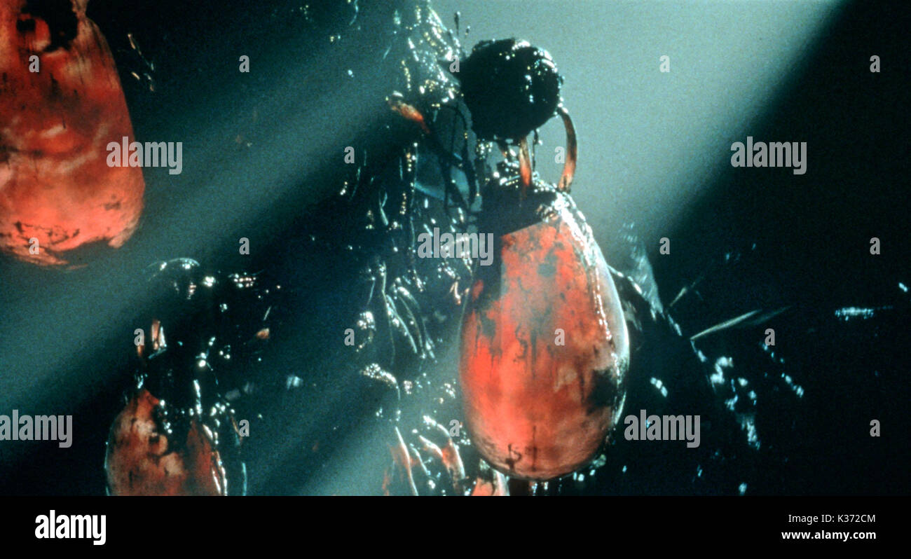 The matrix film hi-res stock photography and images - Alamy