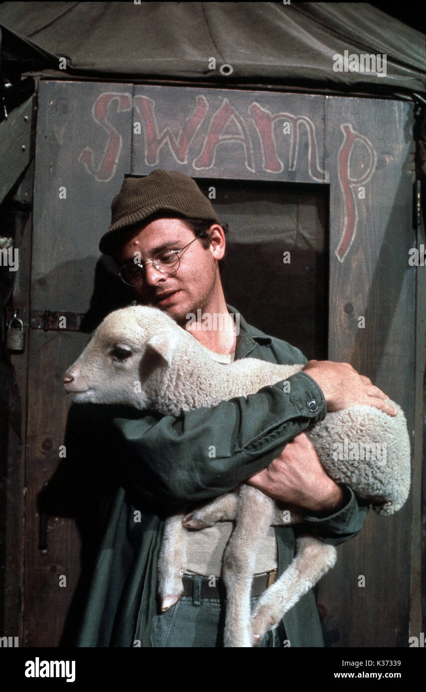 Gary burghoff hi-res stock photography and images - Alamy