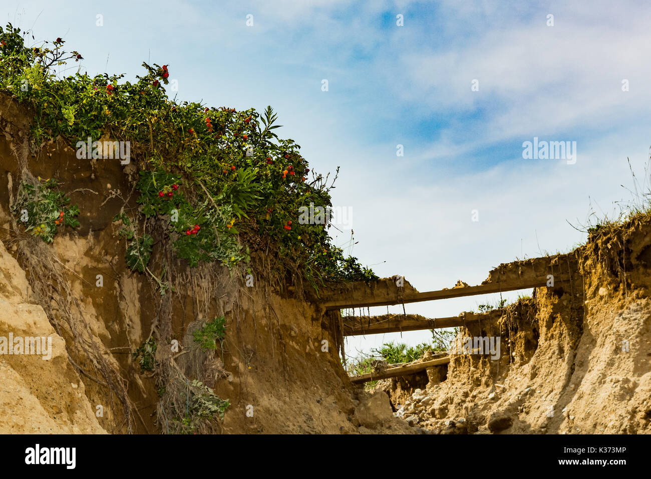 Primary Dune Erosion in Cape Cod Massachusetts Stock Photo - Alamy