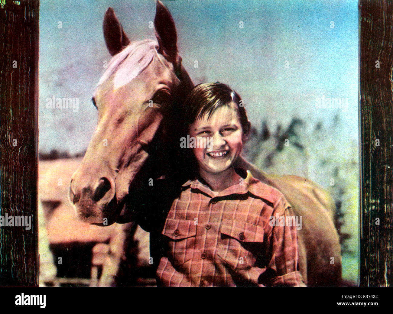 MY FRIEND FLICKA Date: 1943 Stock Photo - Alamy