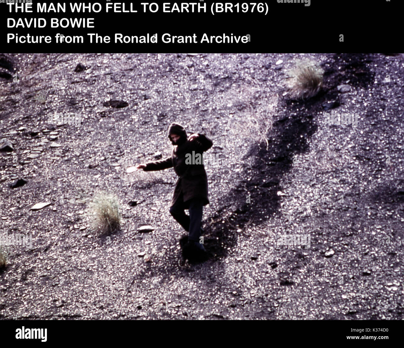 The Man Who Fell To Earth 1987