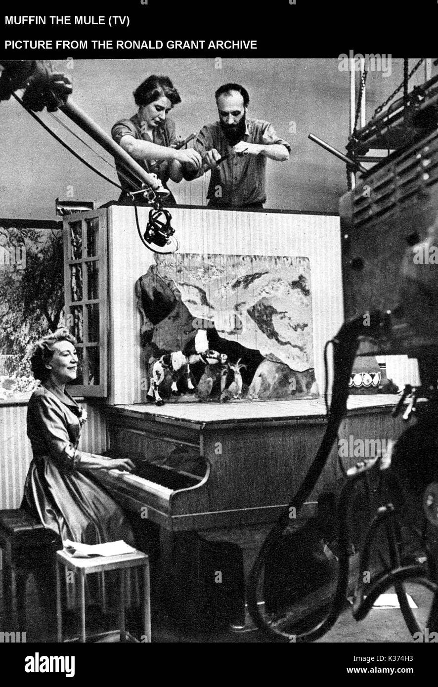 Muffin the mule hi-res stock photography and images - Alamy