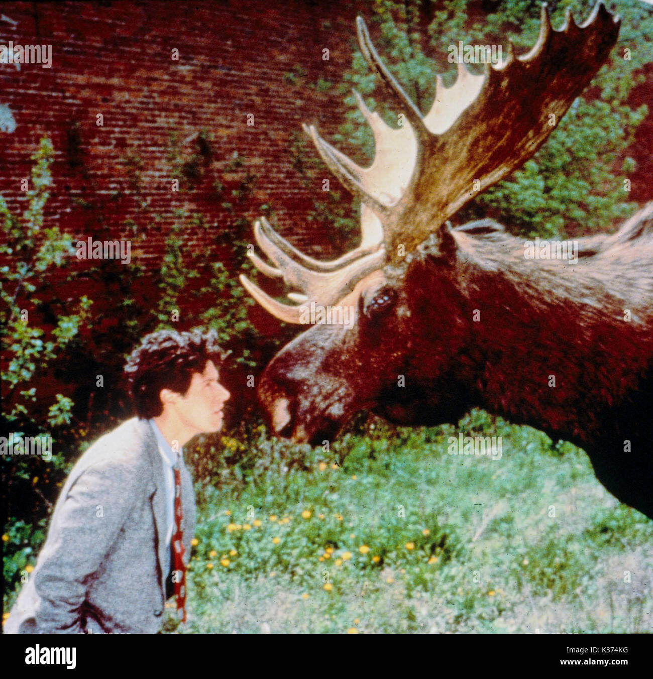 Rob morrow northern exposure hi-res stock photography and images - Alamy