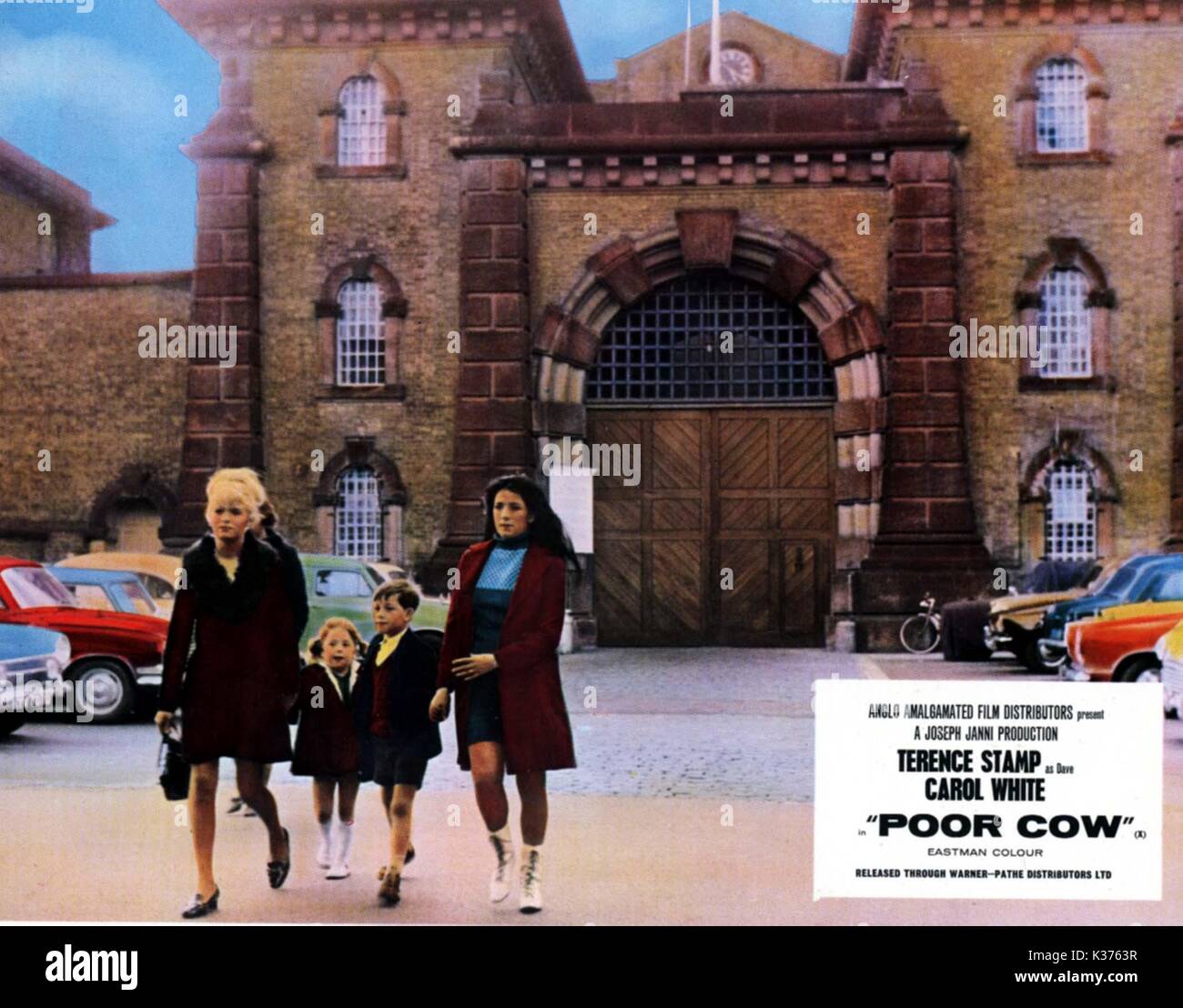 Poor cow hi-res stock photography and images - Alamy