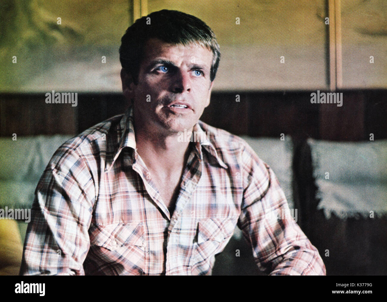 William devane hi-res stock photography and images - Alamy