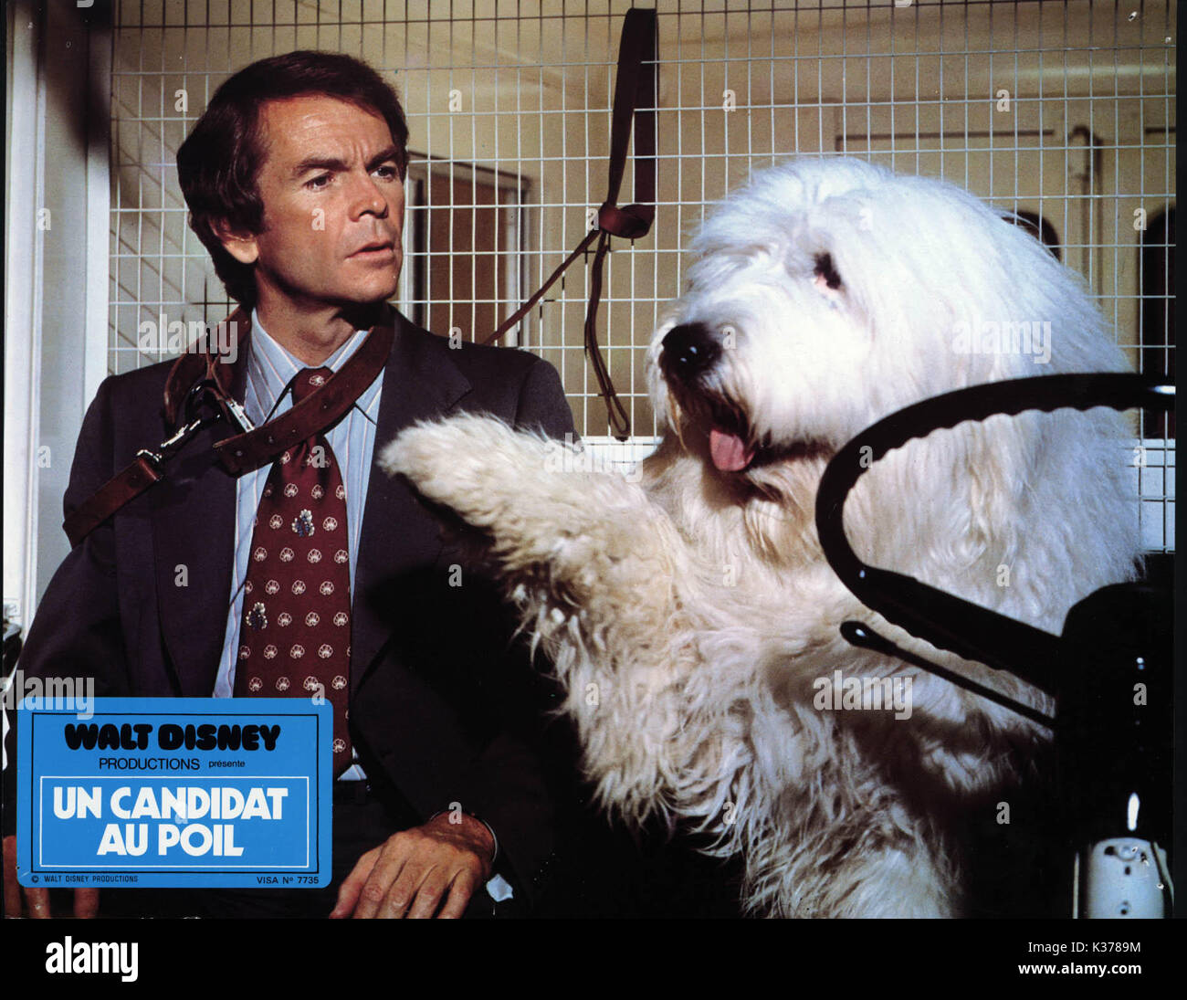 THE SHAGGY D.A. DEAN JONES A WALT DISNEY PICTURE Date: 1978 Stock Photo ...
