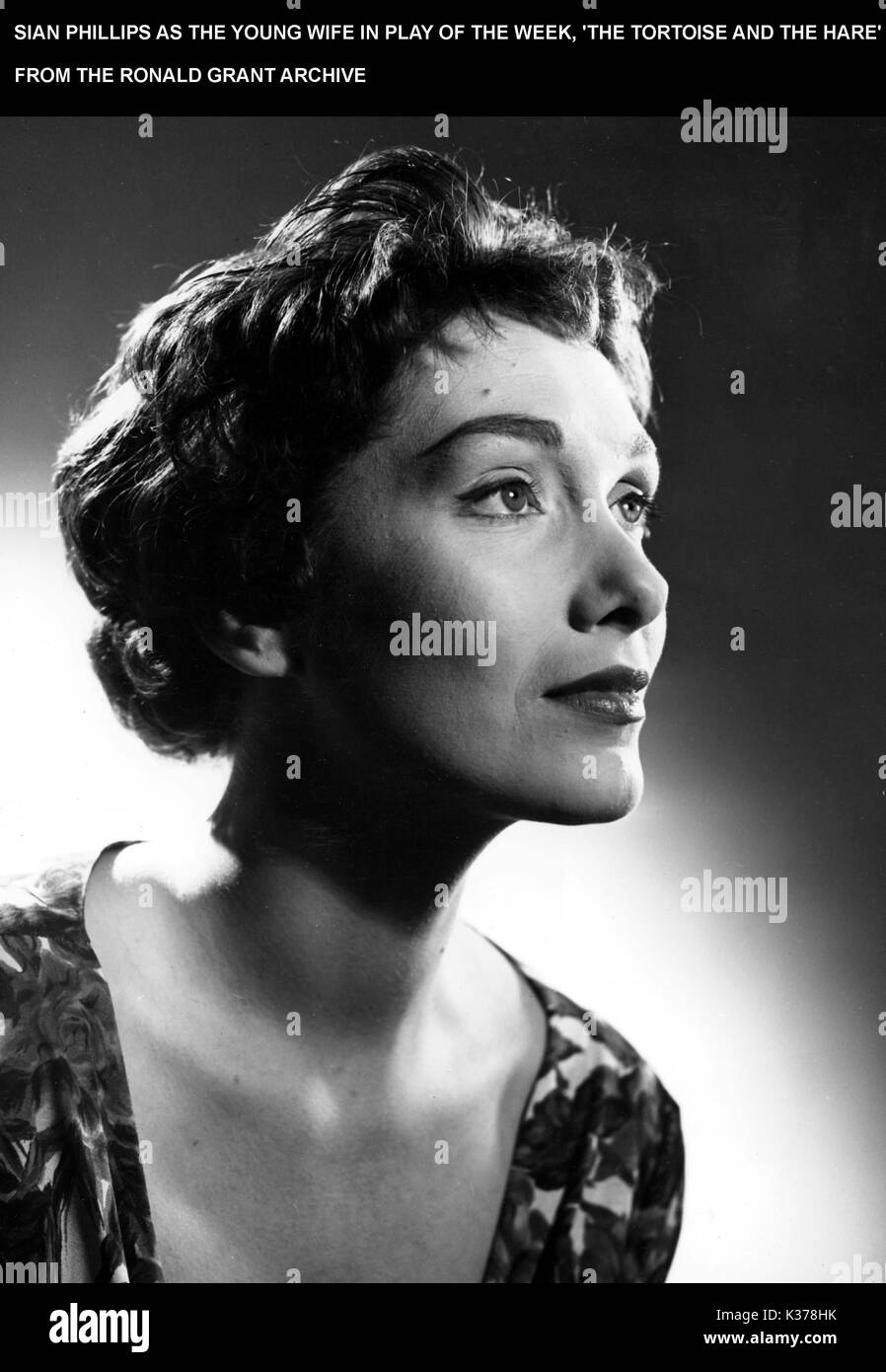 Tortoise and hare hi-res stock photography and images - Alamy