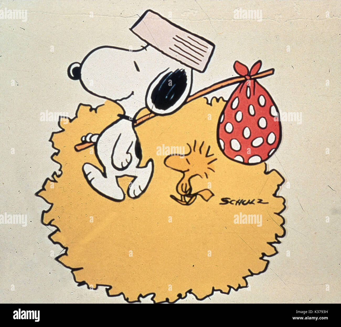 SNOOPY COME HOME PLEASE CREDIT CBS/FOX Date: 1972 Stock Photo - Alamy