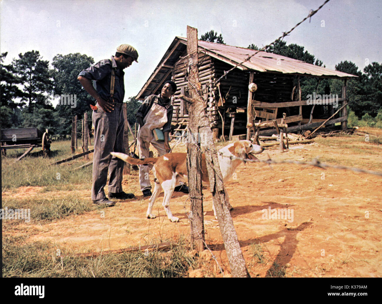 SOUNDER PAUL WINFIELD AND KEVIN HOOKS AND THE HOUND SOUNDER A 20TH ...