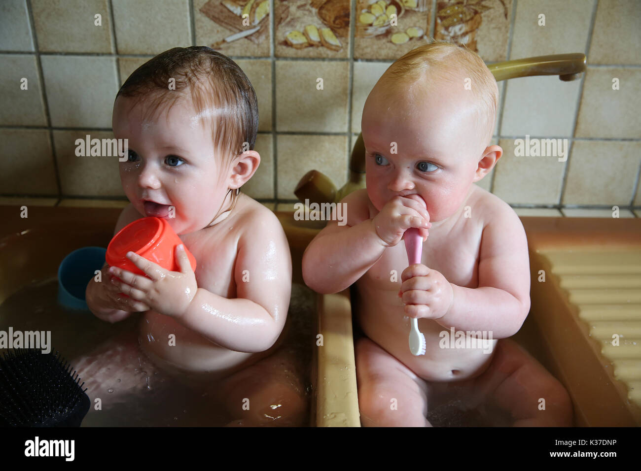 Bath Time In The Sink Hi Res Stock Photography And Images Alamy