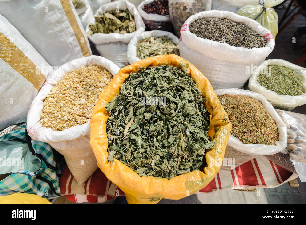 herbal health treatment cure plants, daisy, linden, mint, oregano ...