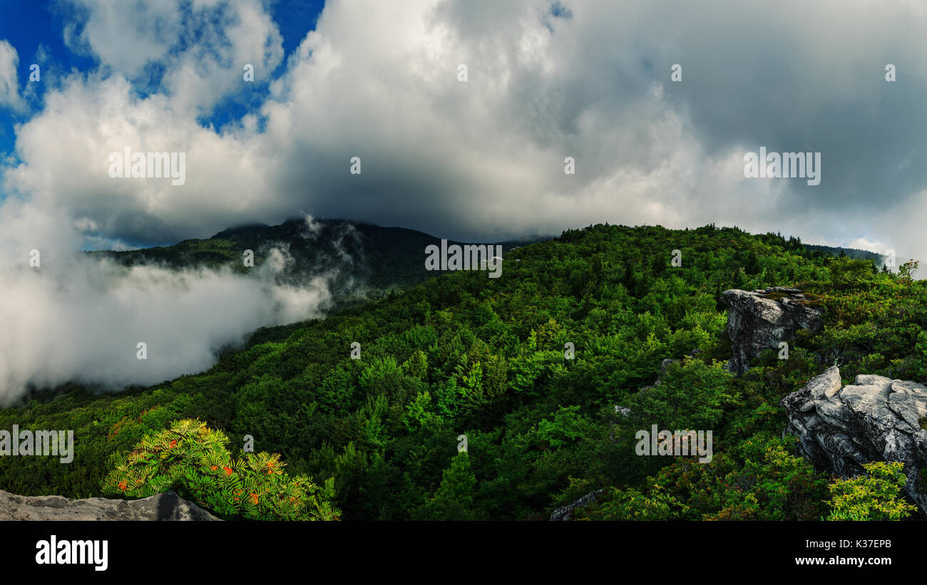Rough Ridge Trail Blue Ridge Parkway - Green n Red Mountain Ash in ...