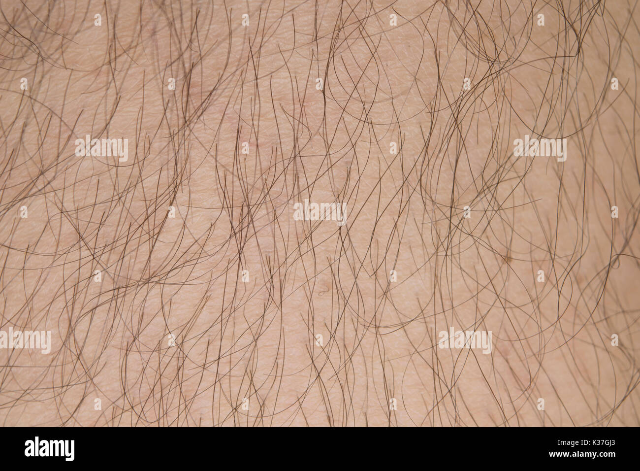 real human skin with hair texture background Stock Photo - Alamy