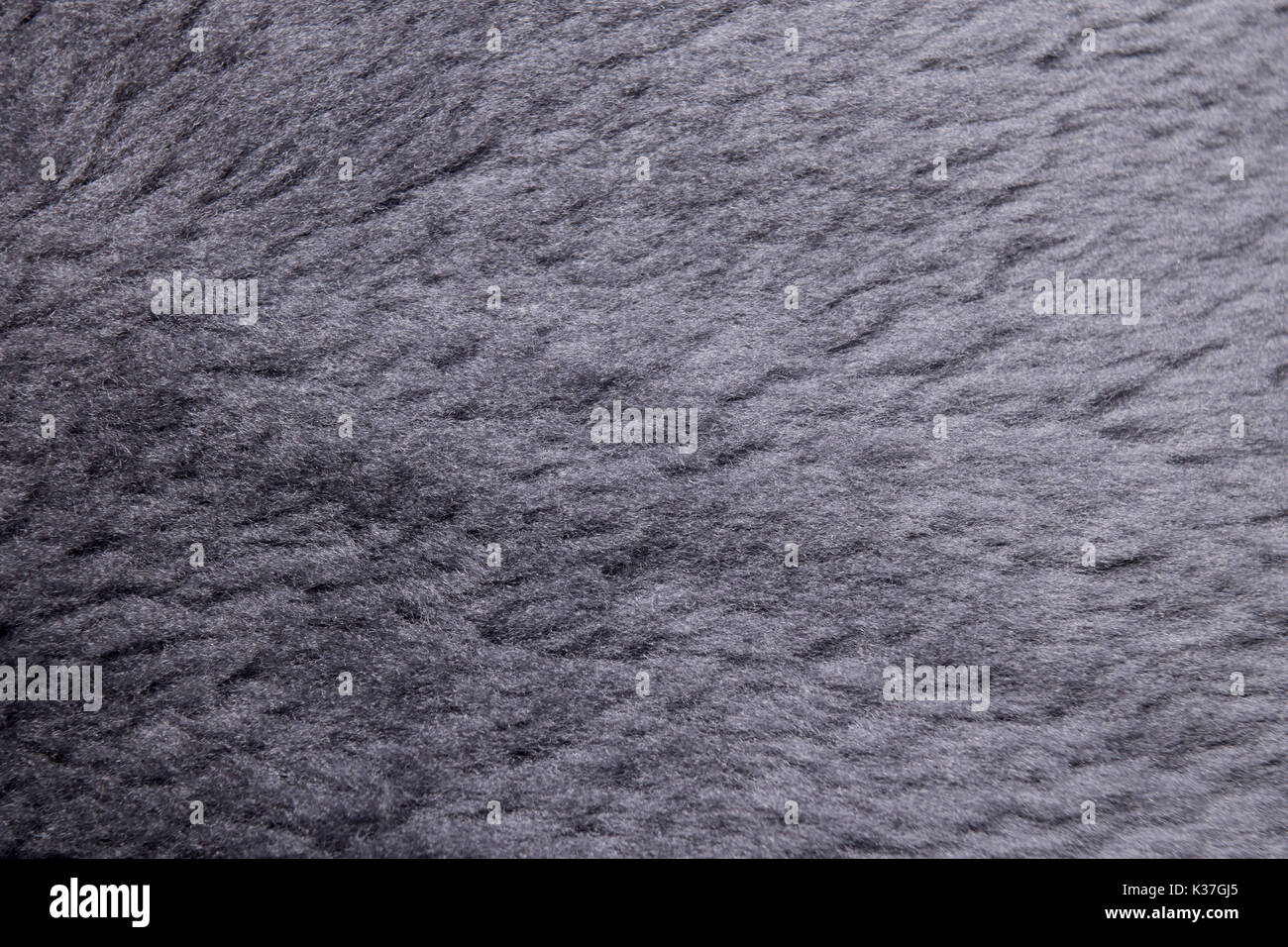 gray fur texture and background material background Stock Photo - Alamy