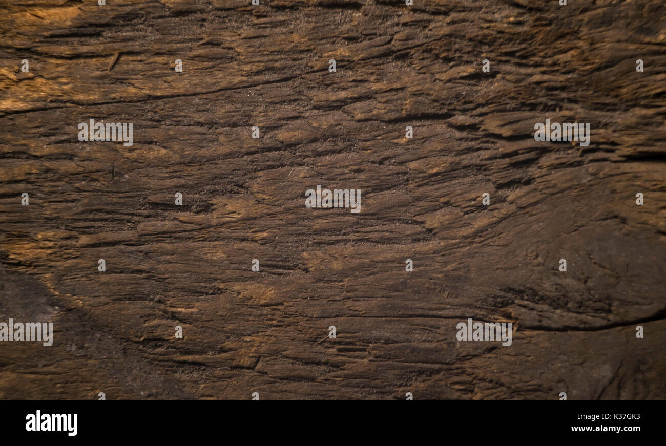 close up old pine brown trunk texture background Stock Photo - Alamy