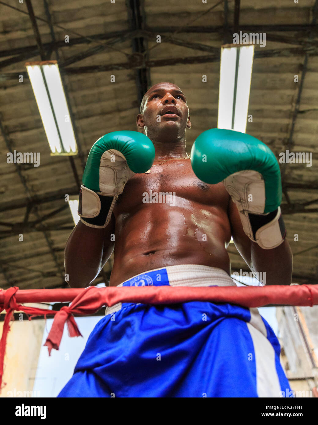 Young boxer Yoendis Castillo in training at Gimnasio Rafael Trejo ...