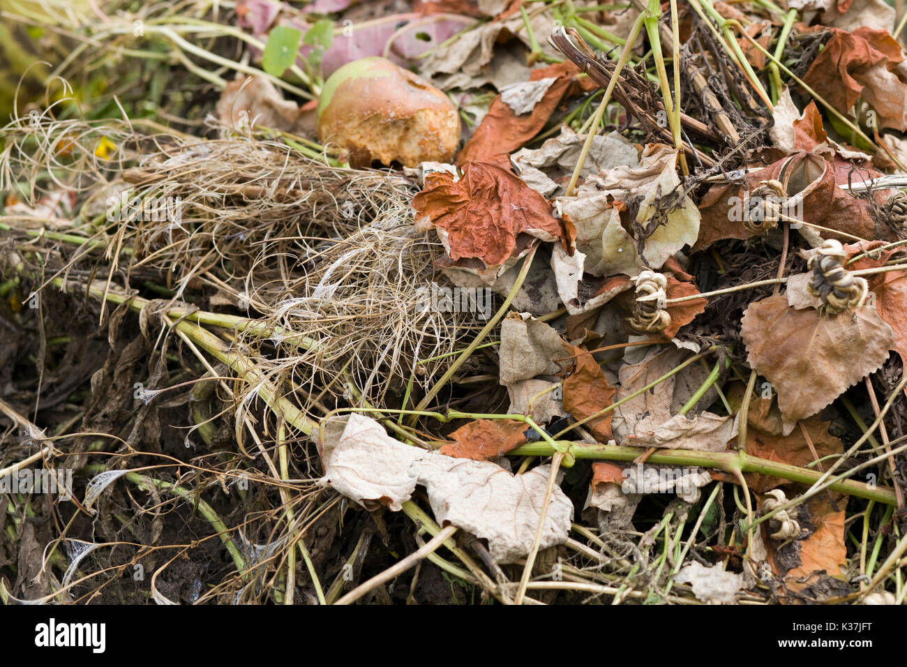 Composting leaves hi-res stock photography and images - Alamy