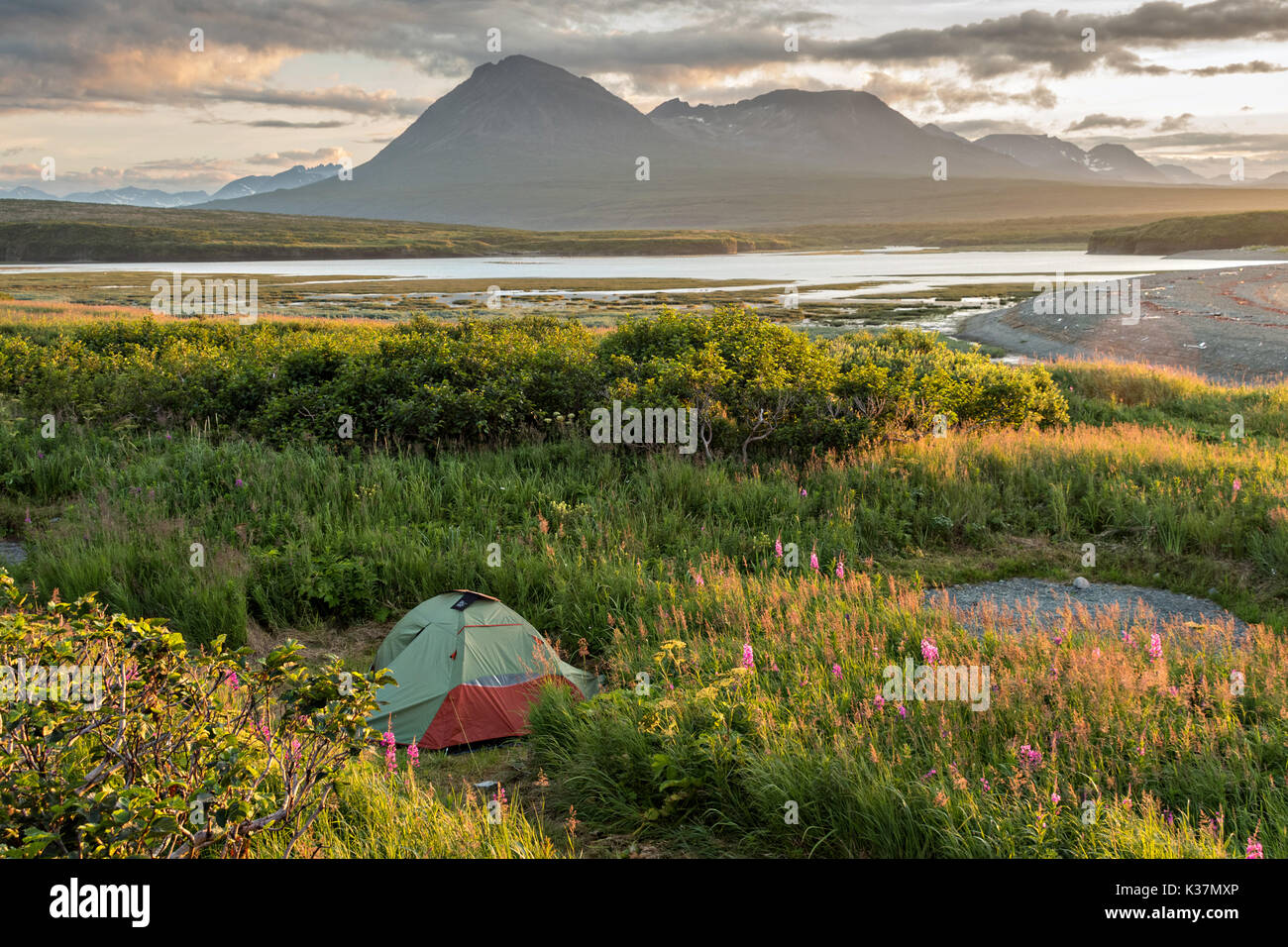 A tent in campground at the McNeil River State Game Sanctuary at sunset ...