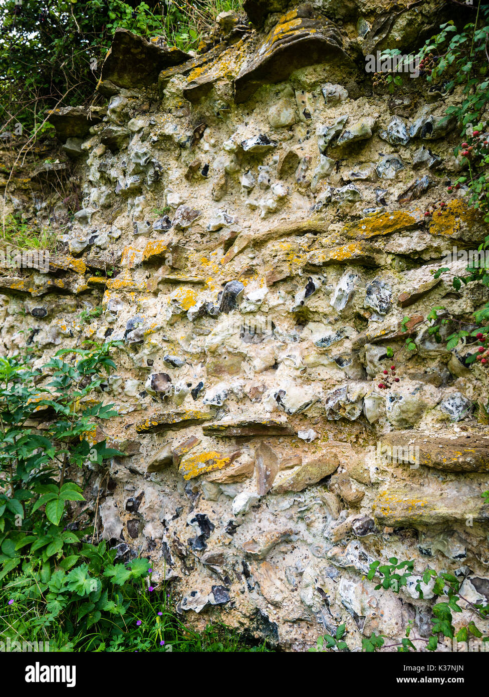 Silchester Roman Ruins High Resolution Stock Photography and Images - Alamy