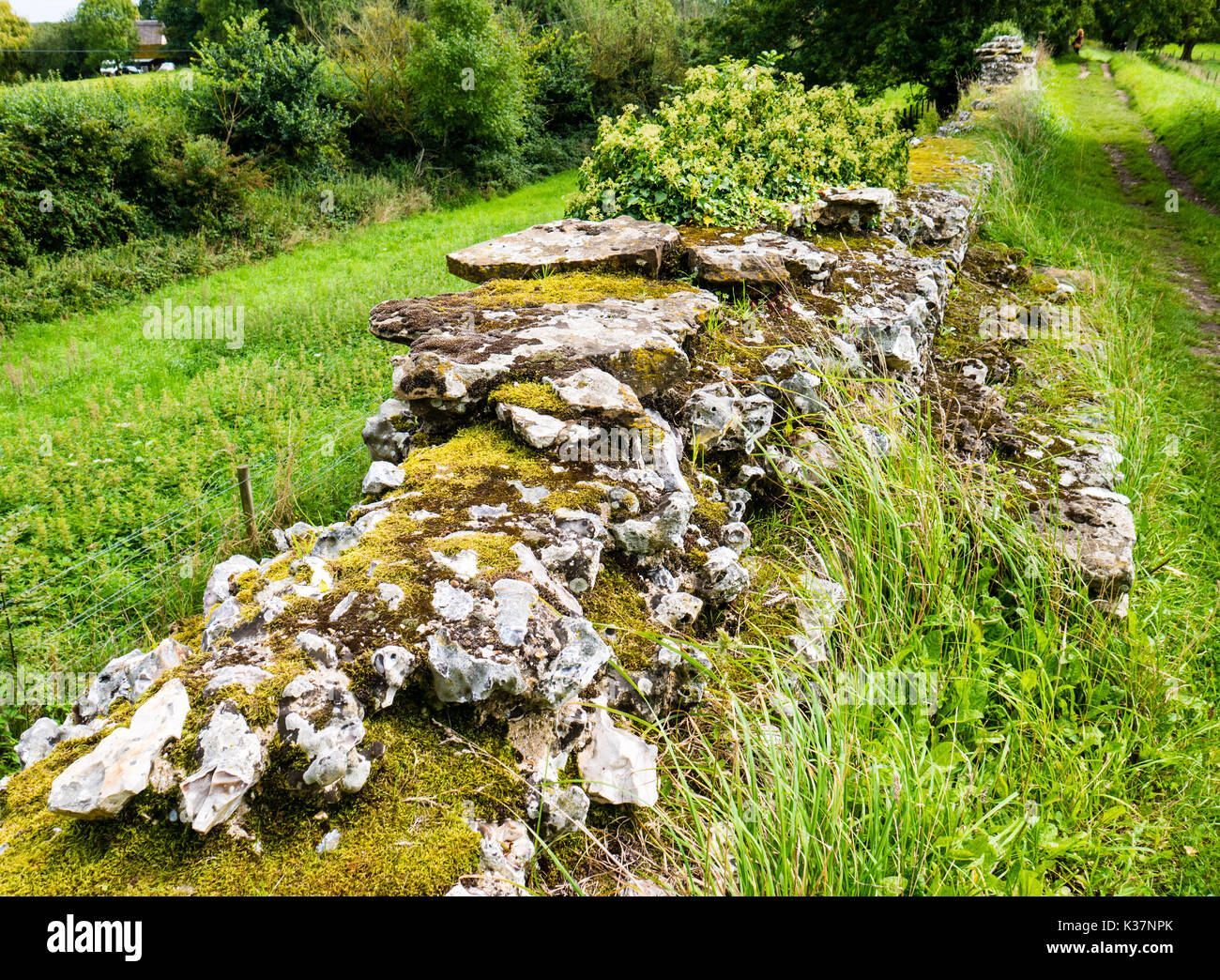 Silchester Roman City Walls and Amphitheatre, Hampshire, England, UK ...